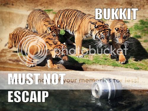 lol: tigers. For cuteness, for Shelli, and for Frodo! - Freethought Forum