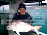 9 and 10 kg Snapper - Gulf - The Fishing Website : Discussion Forums