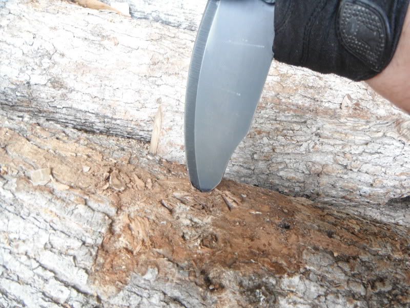 Habilis Bush Tool | BladeForums.com