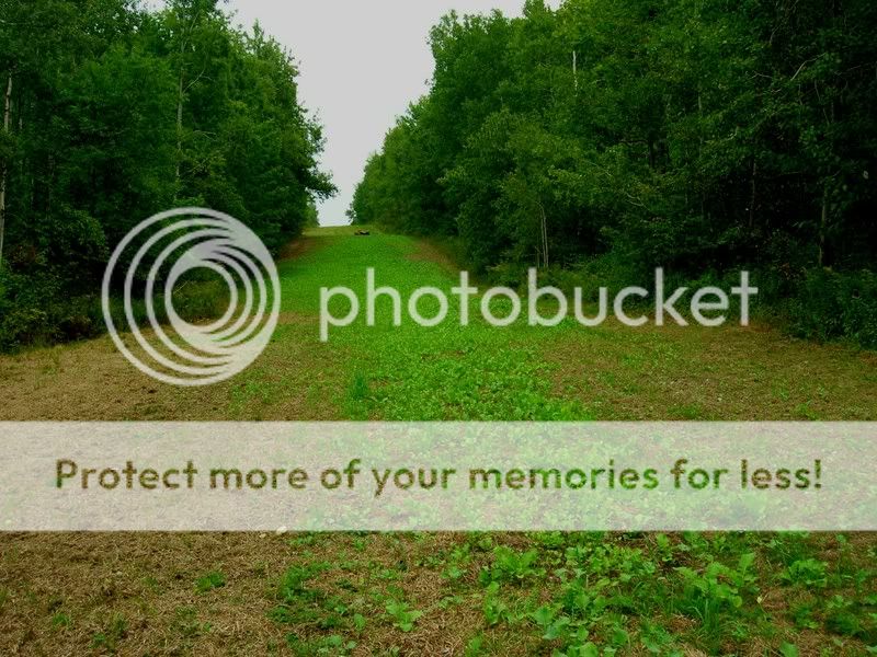 Biologic Green Patch plus (deal or dud)? - HuntingNet.com Forums