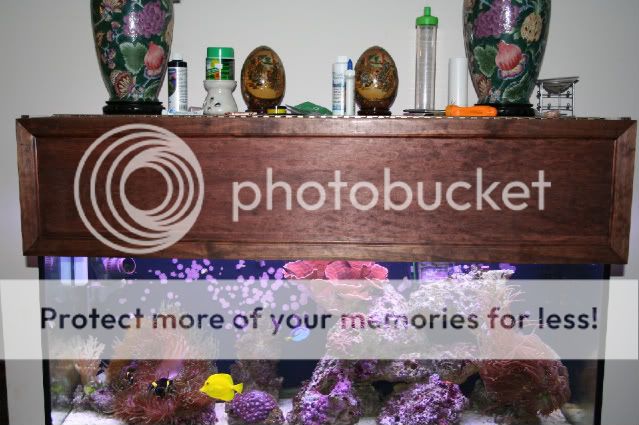 75 aga tank, stand canopy for sale Cleveland TN | REEF2REEF Saltwater ...