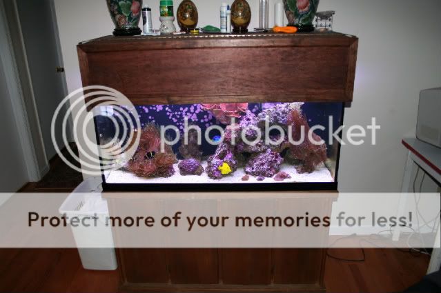 75 aga tank, stand canopy for sale Cleveland TN | REEF2REEF Saltwater ...