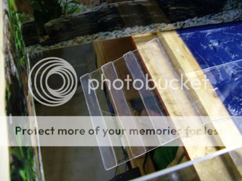 Redearslider.com :: View topic - Large turtle basking areas