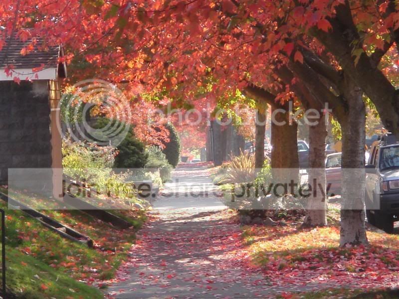 A little bit of Seattle Washington - Photos & Videos - UrbanPlanet.org