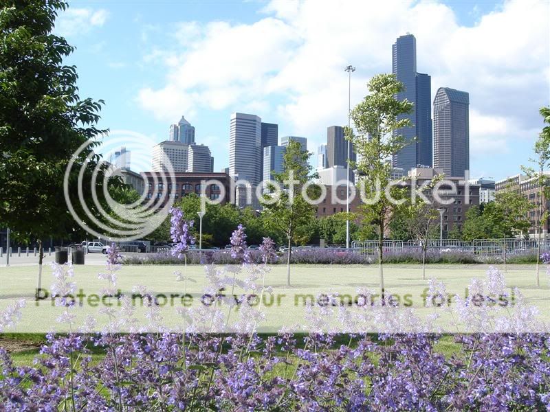 Urban street-level landscaping in your city? | SkyscraperCity Forum