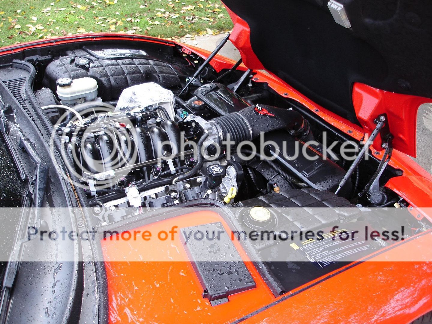 C5 Engine Cleaning w/ a Hose? - CorvetteForum - Chevrolet Corvette ...