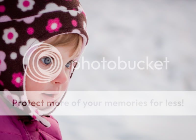 Photobucket vs. Flickr | The Photography Forum