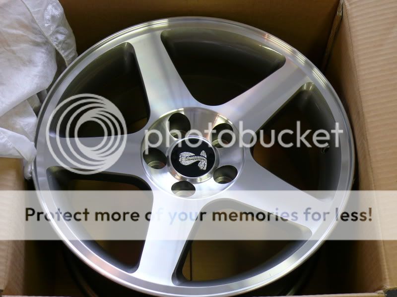 '03 Cobra Terminator Wheels, Brand New | Mustang and Ford Performance ...
