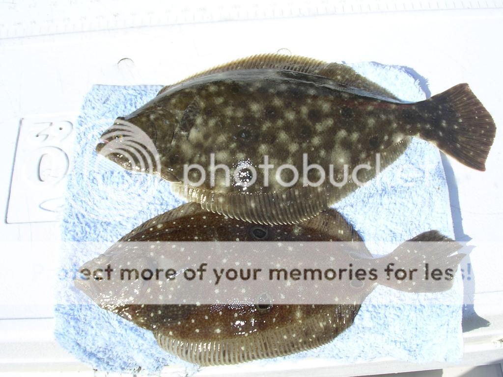 Unusual fluke | BASS BARN