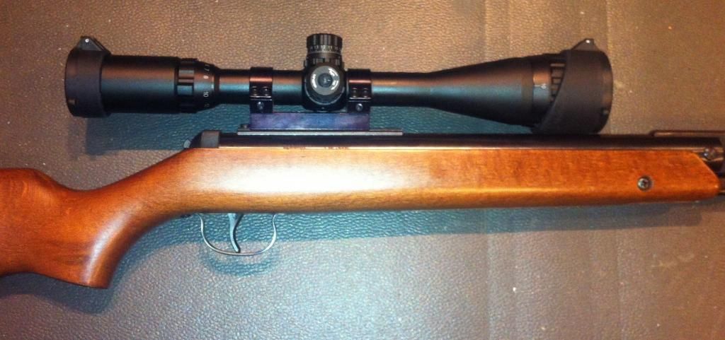 Opinions on RWS Diana 34 in .22 | Page 2 | Rimfire Central Firearm Forum