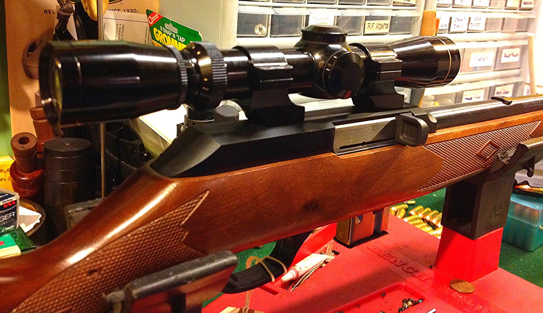 Savage's new A22 22 magnum semi auto rifle looks interesting ...