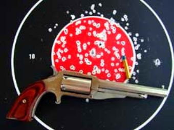 .22LR Snake shot from a Mag cylinder? | Rimfire Central Firearm Forum