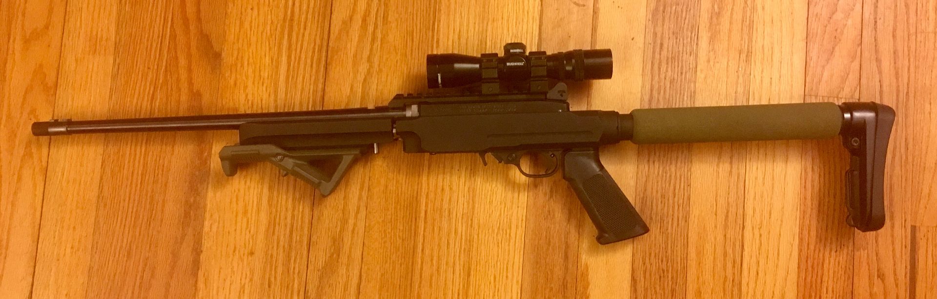 PMACA 10/22 chassis | Rimfire Central Firearm Forum