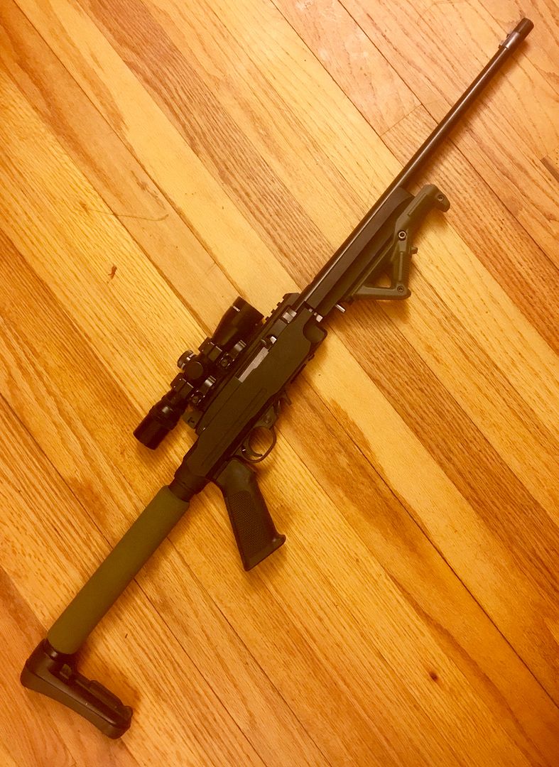 Ruger 10/22 W/ Nordic Chassis AR-22 | Graybeard Outdoors