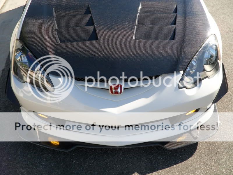 Best looking carbon fiber hood for the RSX?? | Acura RSX, ILX and Honda ...
