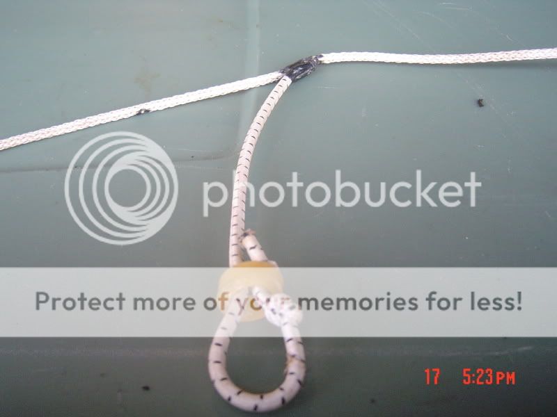 Trot Line Ready Pics And Question | Tidal Fish Forum