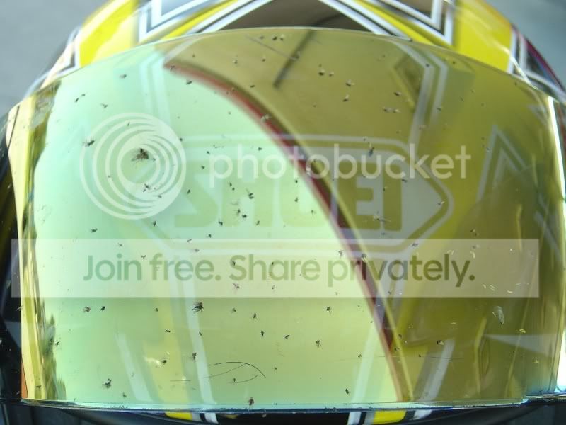 101 Reasons to Wear a (full face) Helmet. | Page 2 | Suzuki GSX-R ...