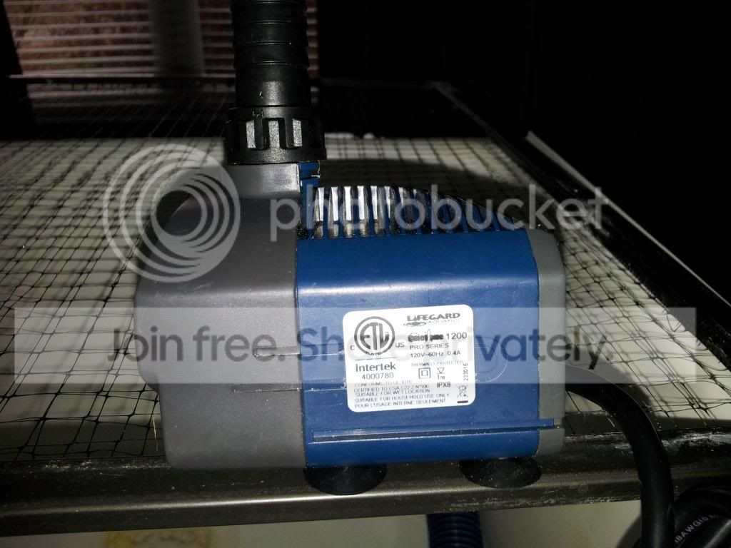 60 cube tank, stand, sump, return pump F/S | Reef2Reef