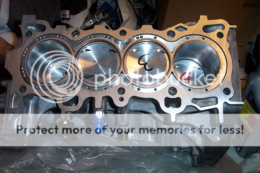 all motor z6/y8??? | Honda and Acura Car Forums