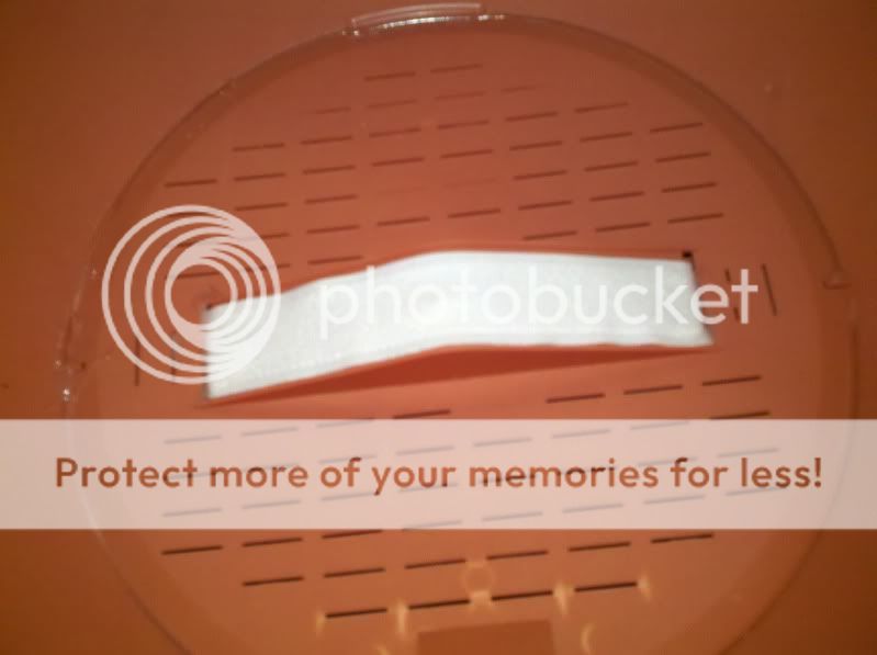 My new Setup ("Mini Bog") - FlyTrapCare Forums