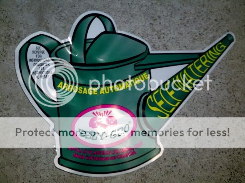 My new Setup ("Mini Bog") - FlyTrapCare Forums