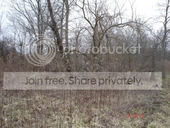 blind pictures | Archery Talk Forum