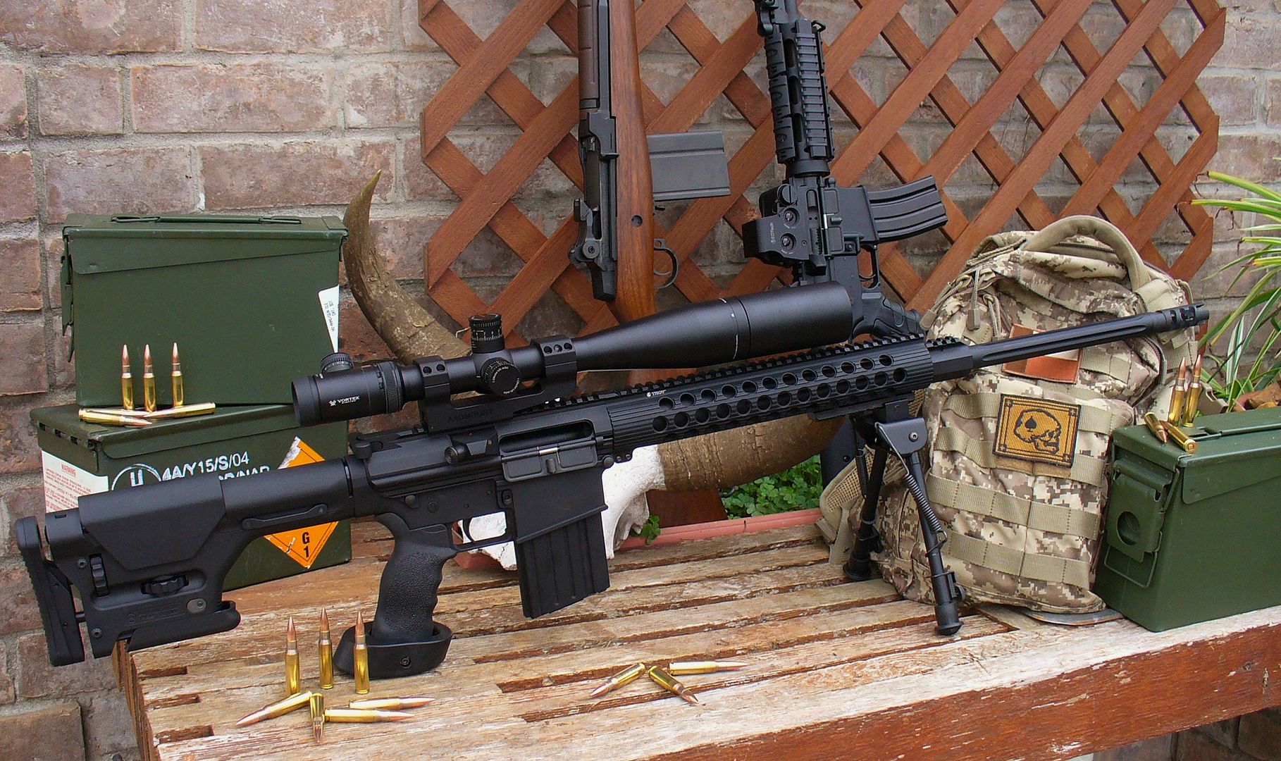 Dpms ar 10 | M14 Forum