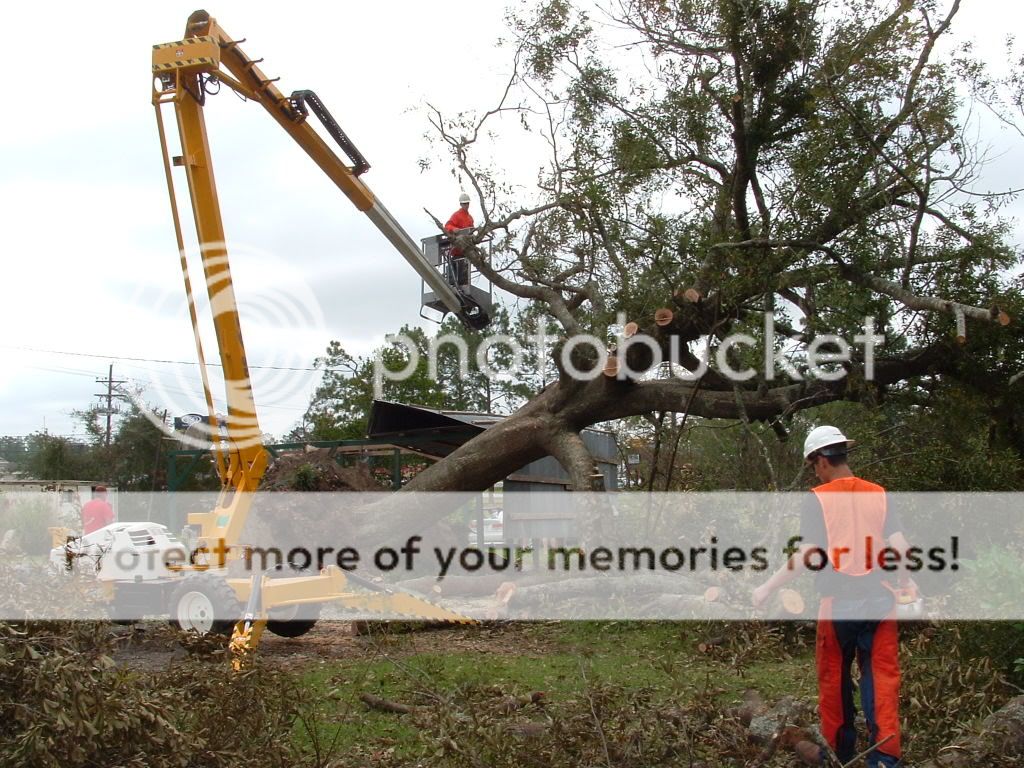 Bucket trucks... | Arborist, Chainsaw & Tree Work Forum