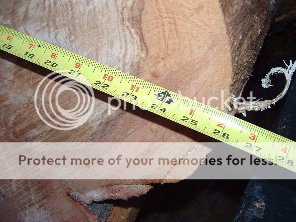 The logs just keep stacking up! | Arborist, Chainsaw & Tree Work Forum