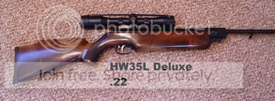 Weihrauch HW35E or HW35 ... Perfect Spring & Piston Air Rifle for an ...