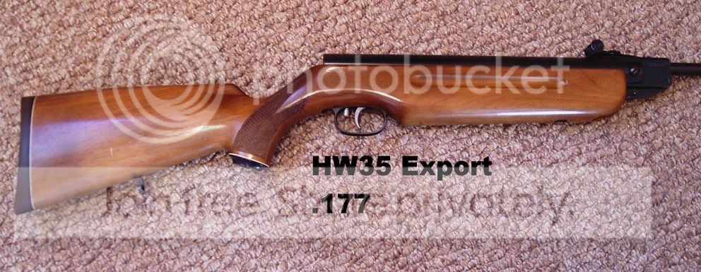 Weihrauch HW35E or HW35 ... Perfect Spring & Piston Air Rifle for an ...
