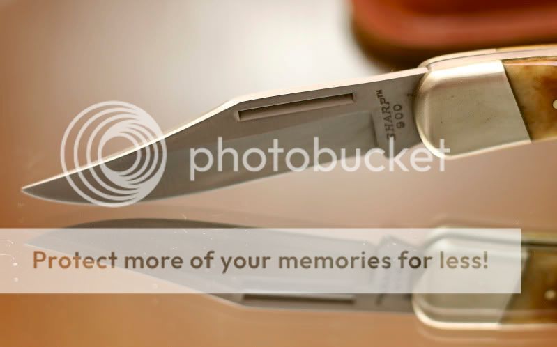 Five Fixed and Three Folders | BladeForums.com