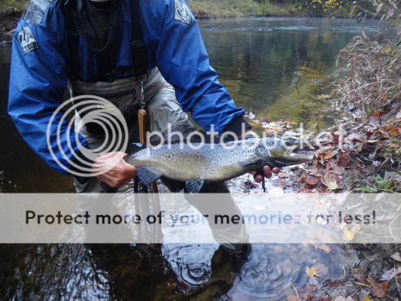 Crooked River - Fly Fishing - Maine Fly Fish