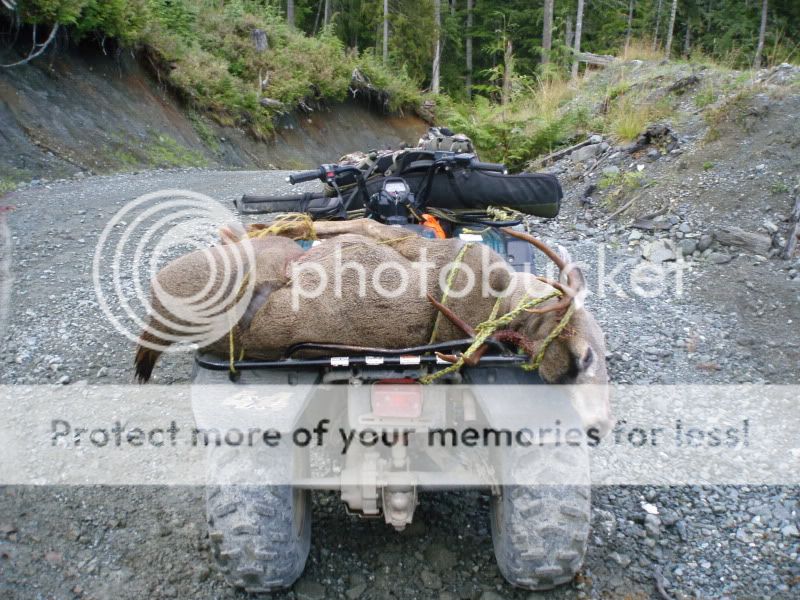 lets see pictures of your hunting trucks and atv - Page 11