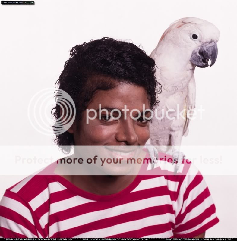 Michael Jackson - Michael & Animals Appreciation #1 - "They're the ones ...