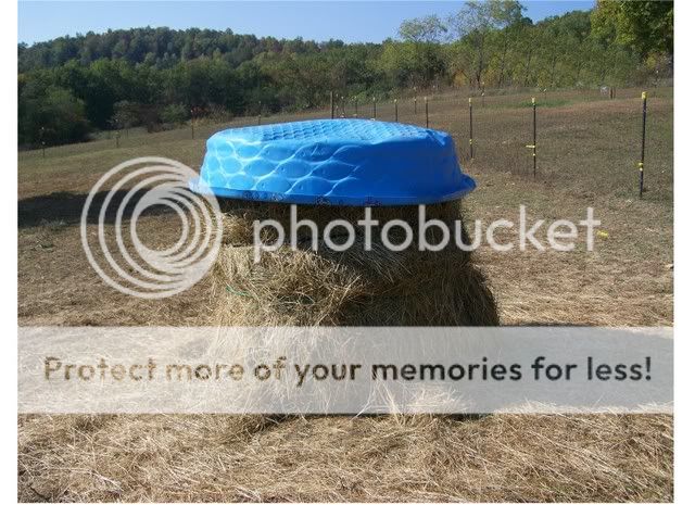 Feeding Round Bales | Miniature Horse Talk Forums