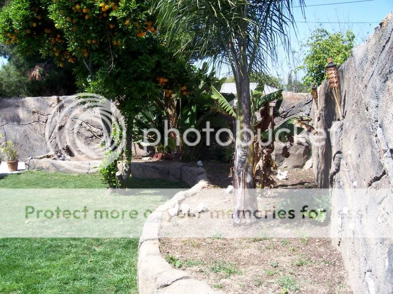 OT: Post pics of your dorm/apartment/cardboard box | VW Vortex ...