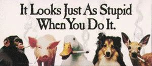 Animals Smoking Cigarettes Poster