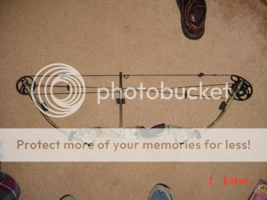 2003 Bowtech Stalker - HuntingNet.com Forums