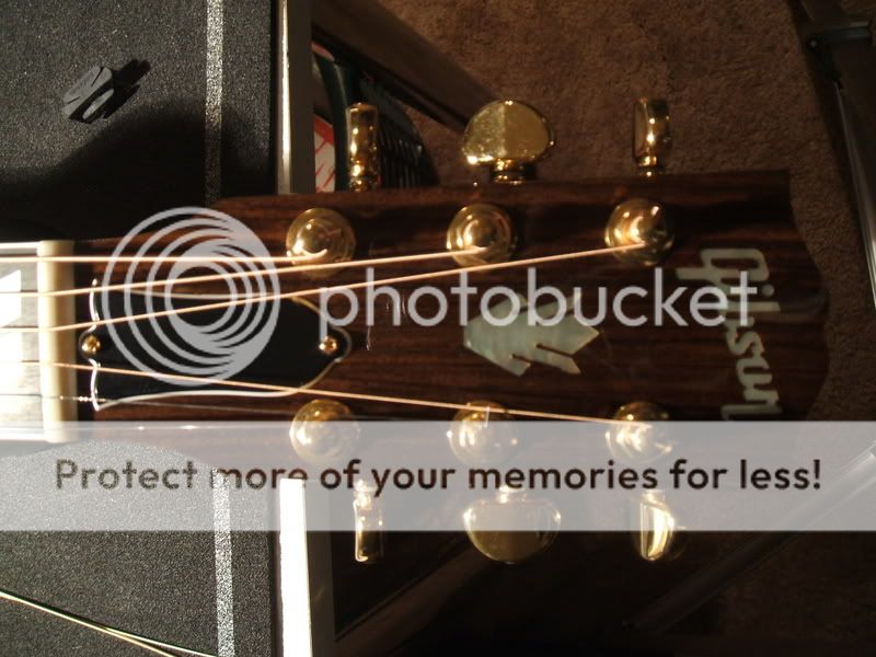 Spring String Change - Gibson Acoustic - Gibson Brands Forums