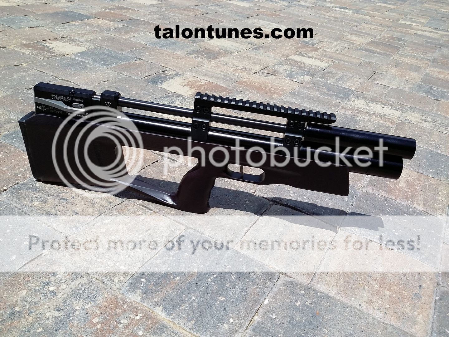 Taipan Mutant Shorts Are In…. – Talonairgun