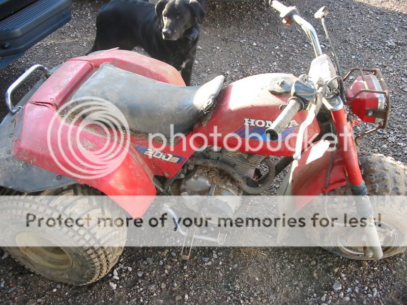 1978 Maico 450 Magnum | The Dirt Bike | Motocross | Supercross Forum at ...