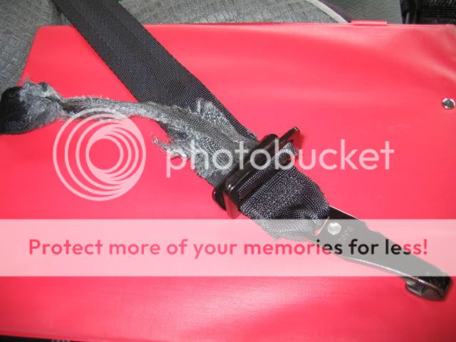 Frayed Adjuster Strap: What's the Harm? | Car Seat.Org - Carseat ...
