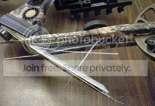 Where is Matt McPhearson now? | Page 2 | Archery Talk Forum