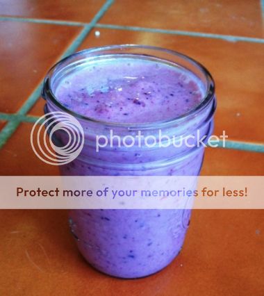 Copycat Orange Berry Blitz | fairyburger