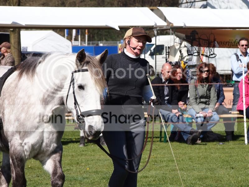 Chris Irwin Trainers op Equiday! • Bokt.nl