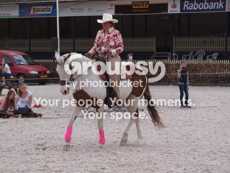 Chris Irwin Trainers op Equiday! • Bokt.nl