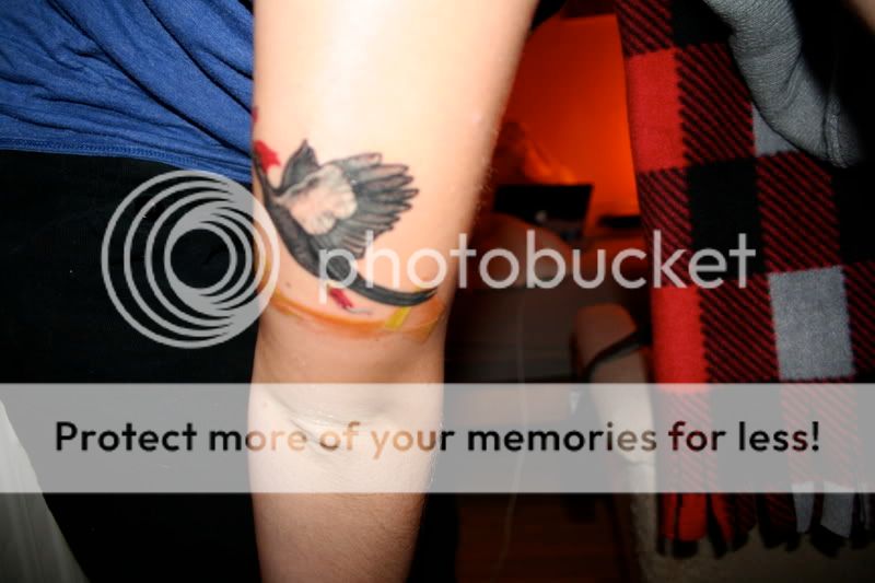 Tom Robbins: literarytattoos — LiveJournal