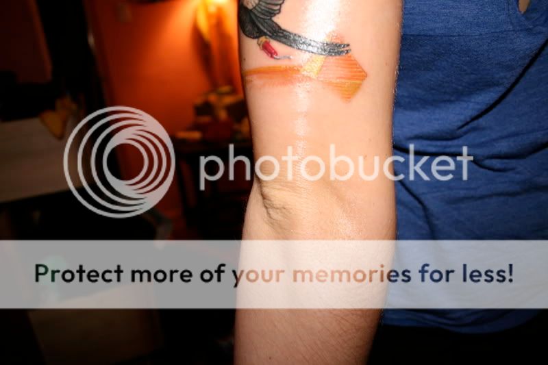 Tom Robbins: literarytattoos — LiveJournal