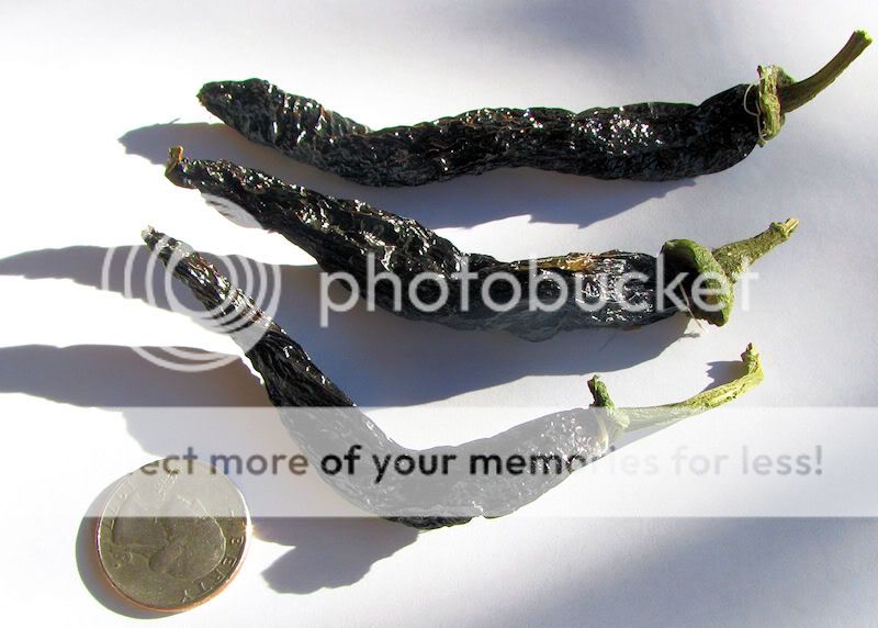 What to do with Pasilla peppers